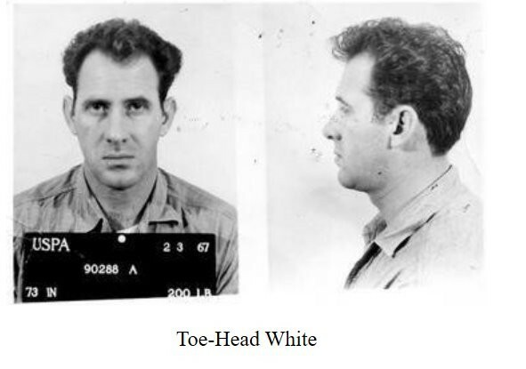 BUFORD PUSSER: the Other Story by Mike Elam (2020, Trade Paperback) for ...