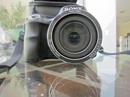 SONY DSC-H300 DIGITAL CAMERA 20 MEGAPIXEL 35X ZOOM TESTED W/CASE | eBay