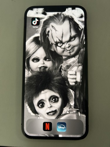 TIK TOK! iPhone 13 Pro Max w/ TIK TOK! | eBay