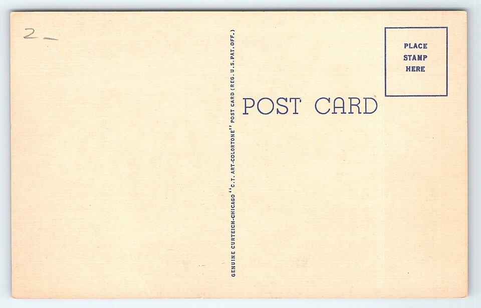 Postcard Texas Cowboy Riding a Jack Rabbit Herding Cattle | eBay