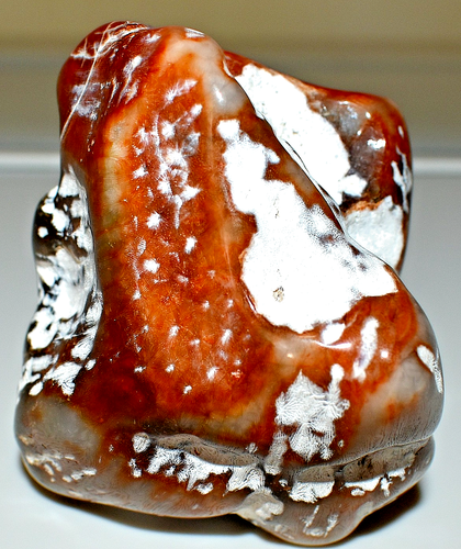 Red Agatized Coral Fossil Stem Sea Tumbled Hot Red Tide Fire Bloom 1.1 ...