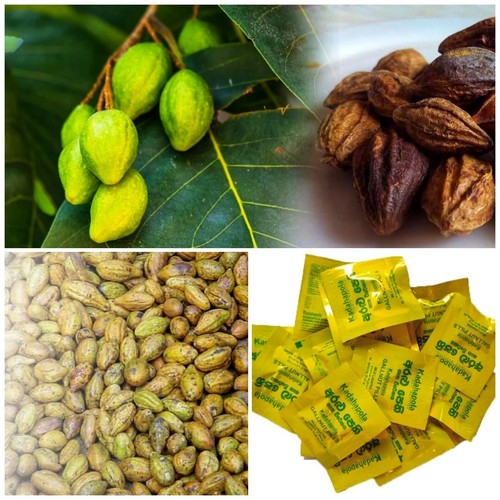 Gallnut Pills Aralu Pethi Mild Laxative Tablets Free Shipping Ceylon ...