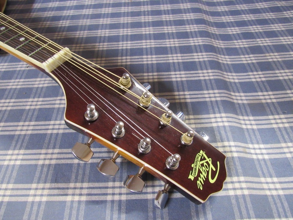 Rogue Fine Instruments RM-100A Mandolin. (Please Read Carefully) FREE ...