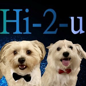 Hi-2-u E-Bay | eBay Stores