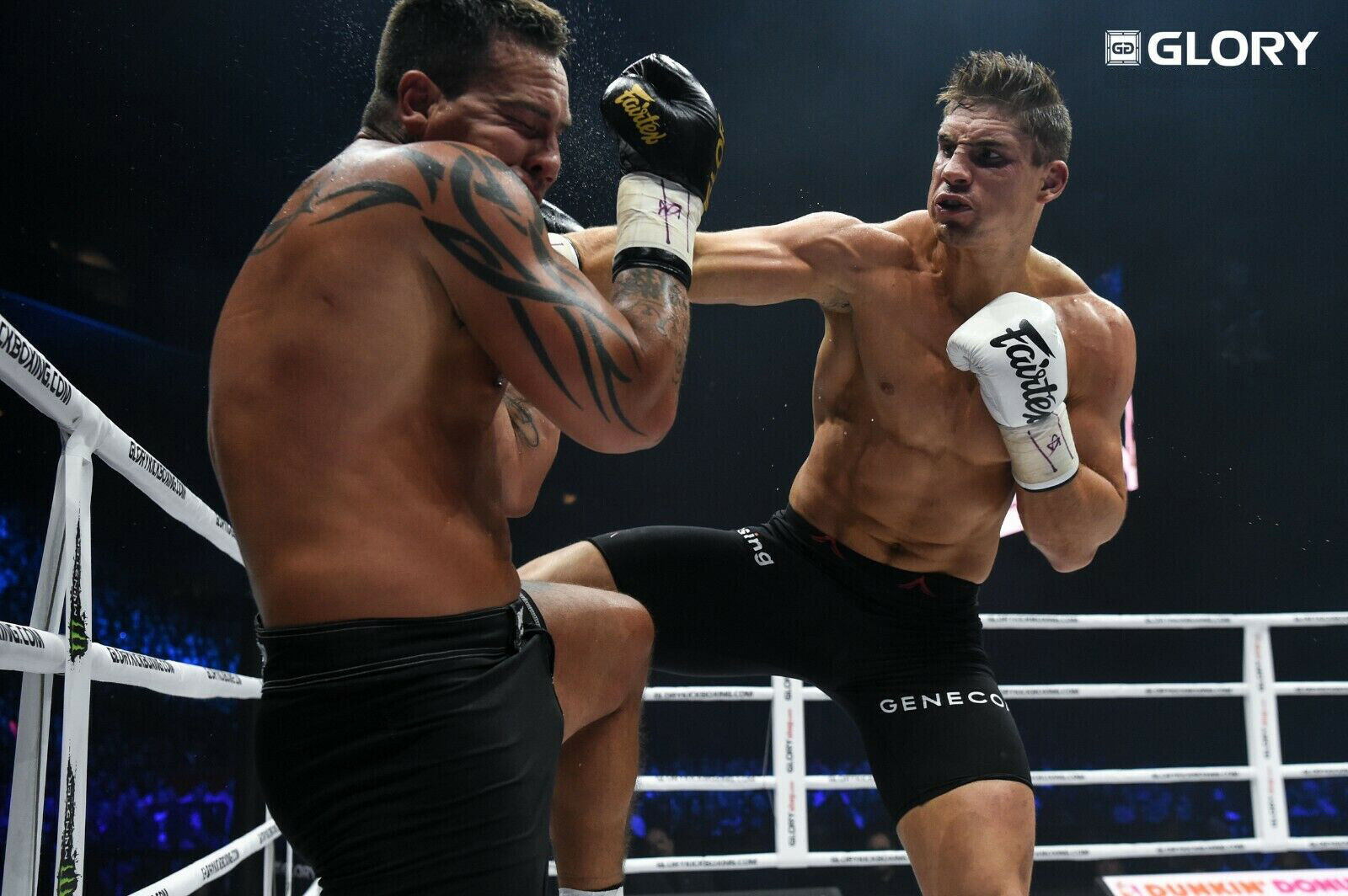 Genuine Fairtex Limited Edition GLORY Boxing Gloves Leather WHITE/BLK ...