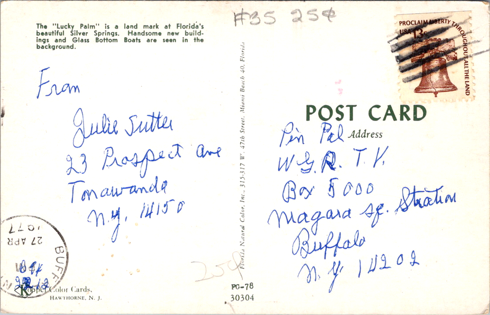 The "Lucky Palm" Landmark Silver Springs Florida WGR TV Station Pen Pal ...