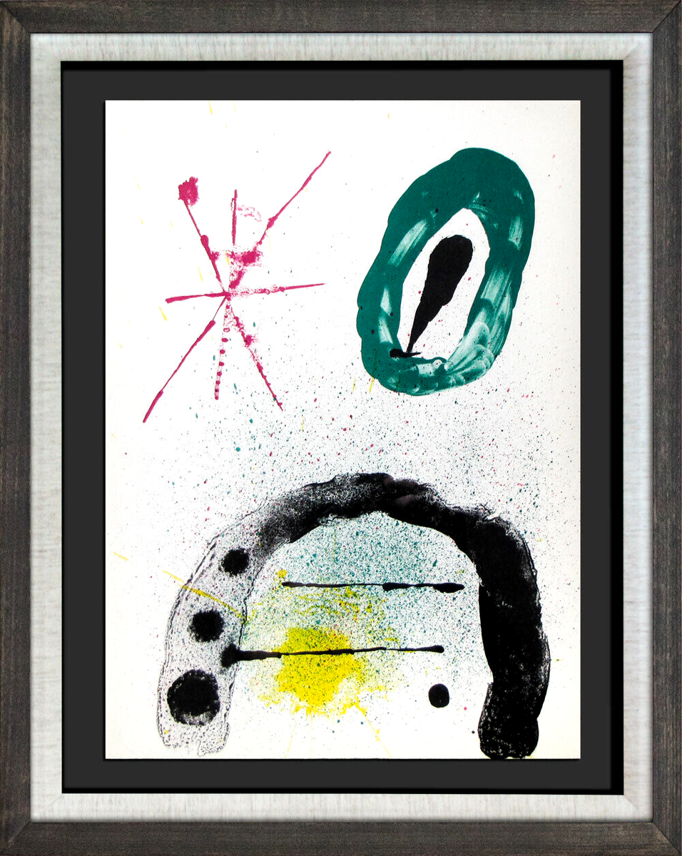 Joan Miro Color Joan Miro Refrance Book With Many Color Lithographs