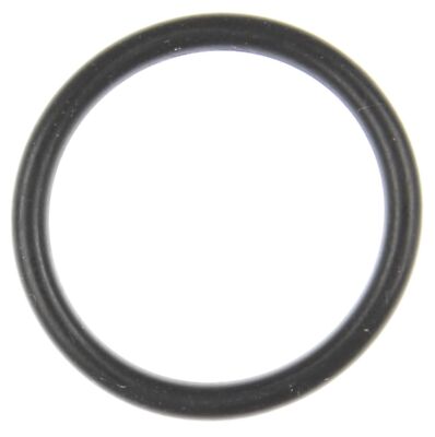 Fuel Injection Throttle Body O-Ring Mahle G32944 | eBay