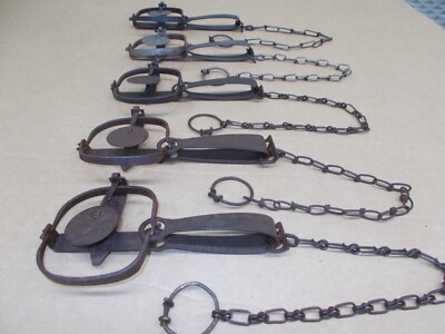 5 Vintage No.1 Single Long Spring traps, 4B&L and 1 Champion all with ...