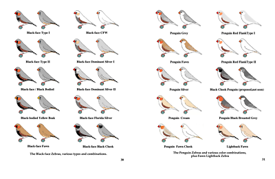 Zebra Finch Mutations Chart