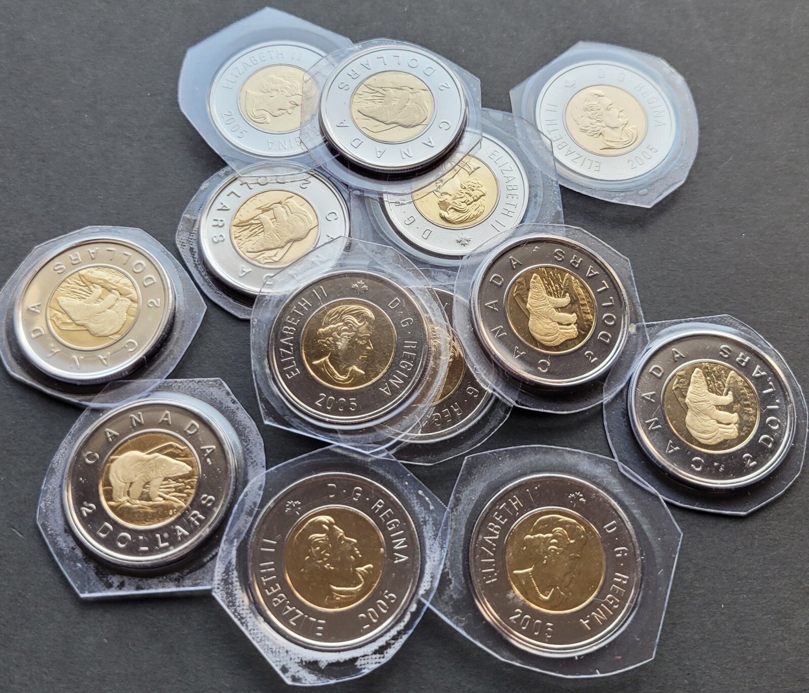 CANADA TOONIE SEALED 2005 *** BRILLANT FROM MINT SETS *** | eBay
