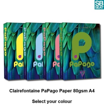 500 Sheets Clairefontaine A4 PaPago 80gsm Various Colour Paper Ream ...