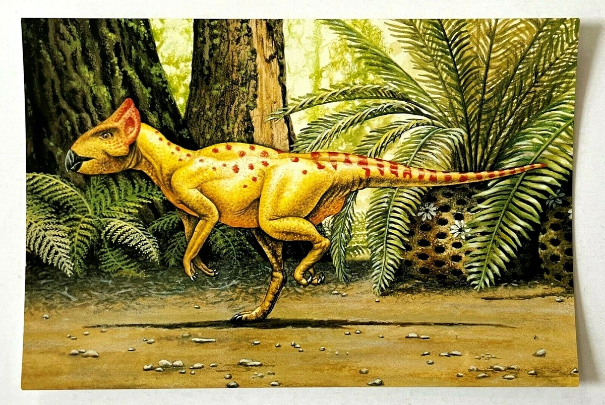 Leptoceratops