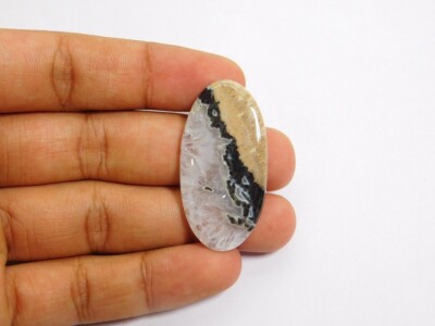 Gorgeous Natural Palm Root Agate Cabochon Loose Gemstone Jewelry 41 Cts ...