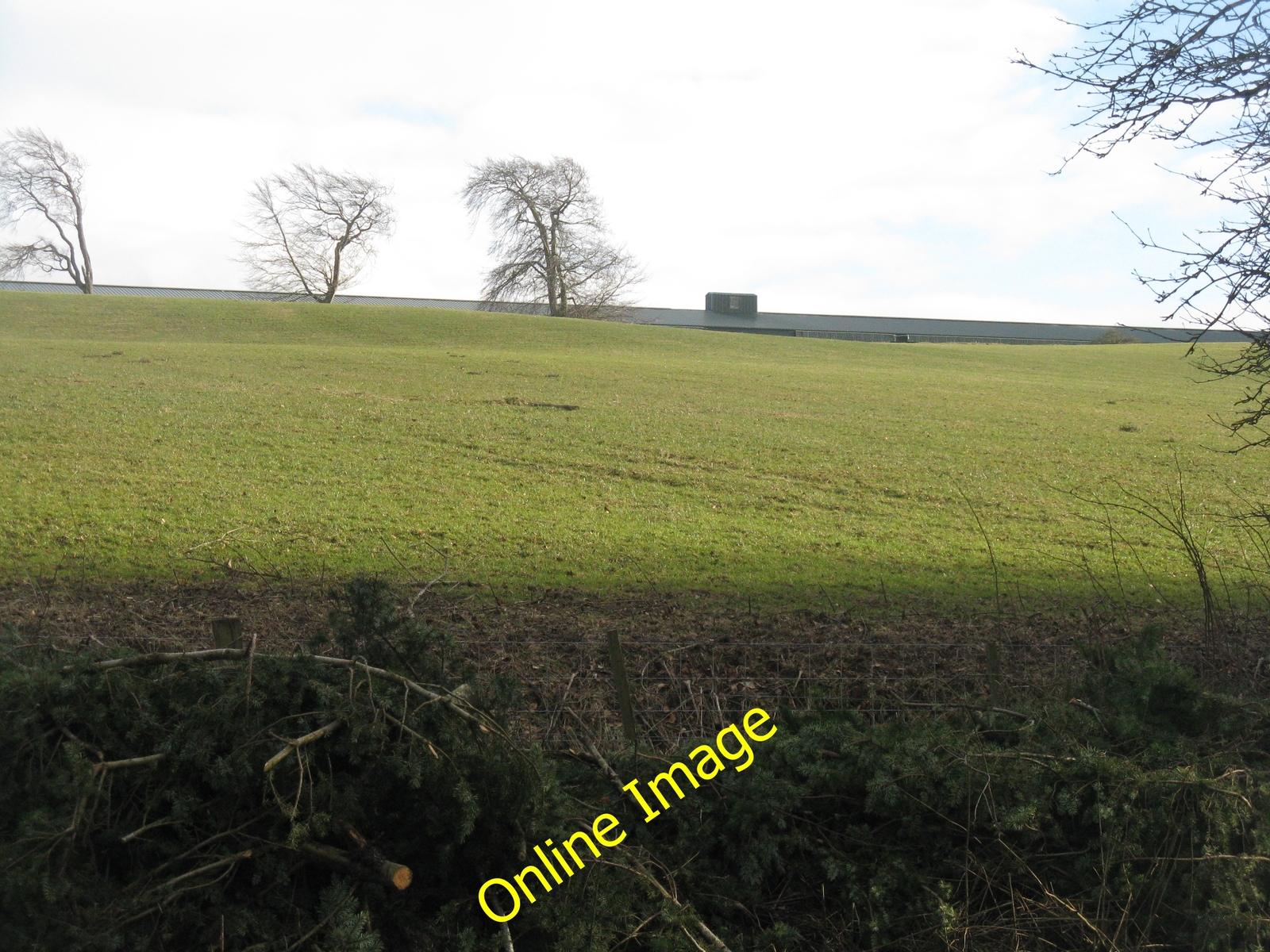 Photo 12x8 Pasture at Whim Hall Leadburn The skyline is the roof ridge ...
