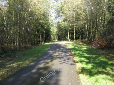 Photo 6x4 Private road through Access land at Ashdown Forest Wych Cross ...