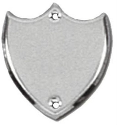 ANNUAL TROPHY SILVER SIDE SHIELDS FREE ENGRAVING PLATES AWARD CARTOUCHE ...