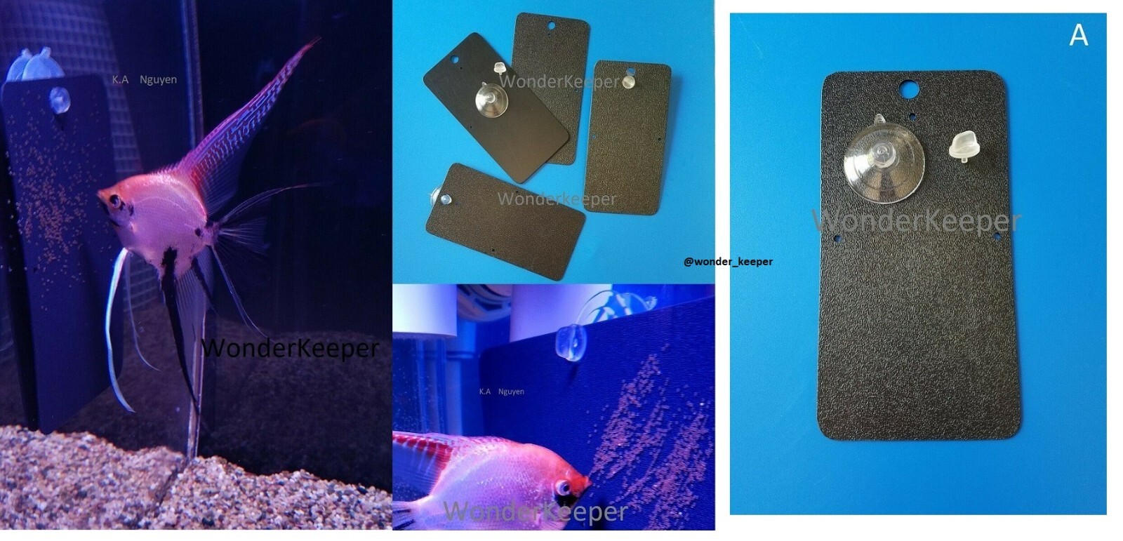ANGELFISH BREEDING SLATES ( 5 slates ) | eBay