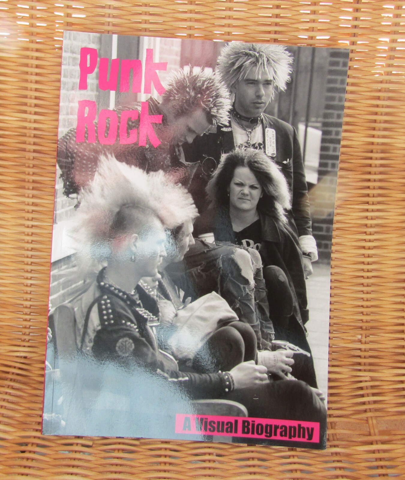 Punk Rock A Visual Biography Paperback Book Andy Francis | eBay