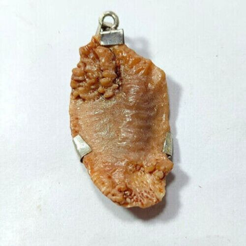 Indian Traditional Original Shukra Mani Stone In Pure Silver Locket ...