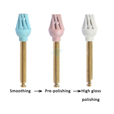 Dental Lab - Rubber Polishing