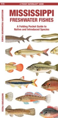 Mississippi Freshwater Fishes: A Waterproof Folding Guide to Native and ...