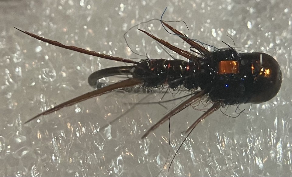 Winter Euro Nymph Fly Pack – Custom Tied for Cold Water Success | eBay