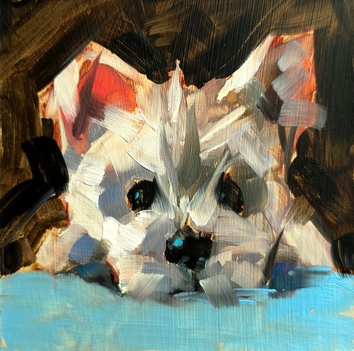 Original Puppy Oil Painting Small Dog Portrait Animal Art 6x6" Made to ...