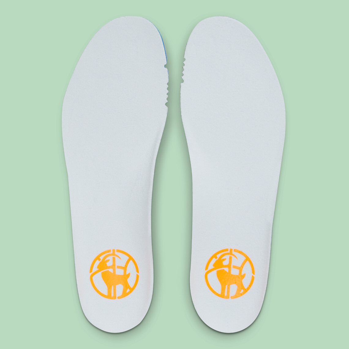 Nike Lebron Template