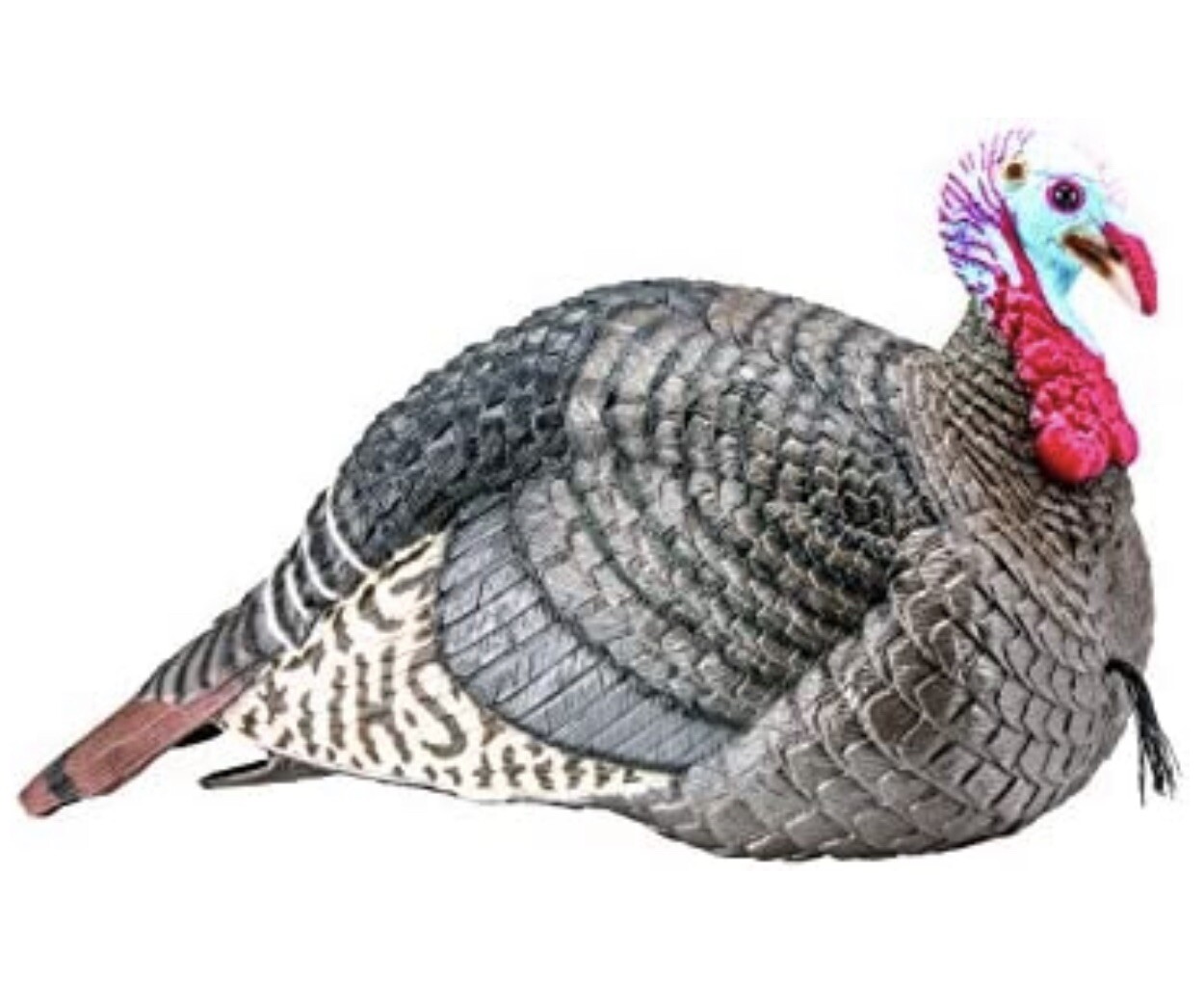 Hunters Specialties/HS Strut Strut-Lite Jake Turkey Decoy - HS-STR ...