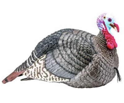 Hunters Specialties/HS Strut Strut-Lite Jake Turkey Decoy - HS-STR ...