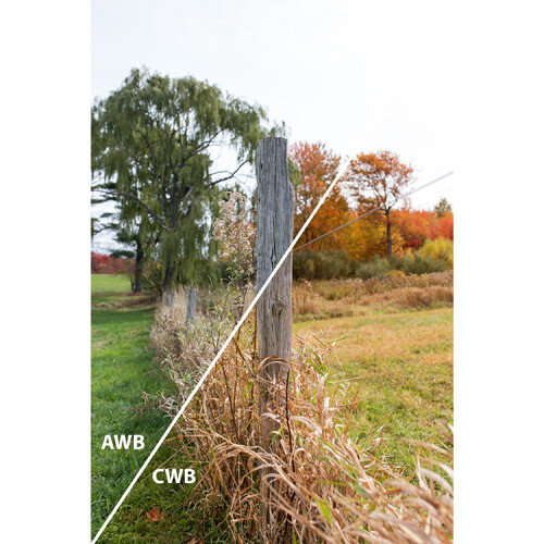 CREATIVE WHITE BALANCE KIT PROMASTER | eBay