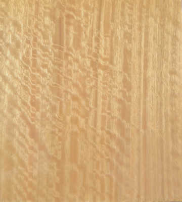 Eucalyptus Australian Figure Beeswing wood veneer 10" x 10" raw 1/42 ...