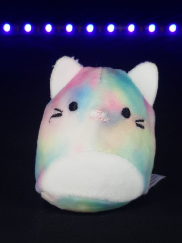 Squishmallows Squishville 2" Rainbow Cat Plush From Rainbow Dream Squad ...