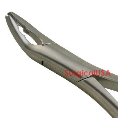 Extracting Forceps 151AS Serrated Split Beaks Lower Dental Surgical ...