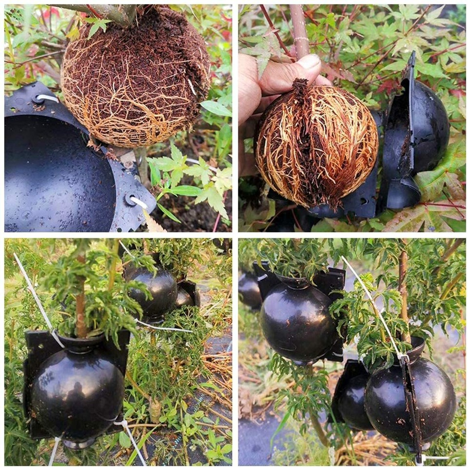 10/20/50/100pcs Reusable Plant Grow Graft Balls High Pressure ...