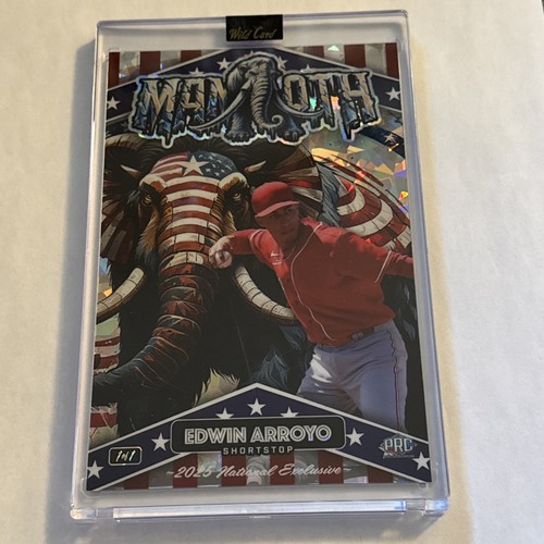 2025 Wild Card National Exclusive Mammoth Cracked Ice Baseball Edwin ...