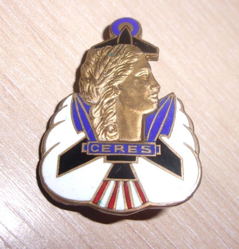 Insigne Centre Expérimentation Recherche Engins Spéciaux - CERES - Marine | eBay