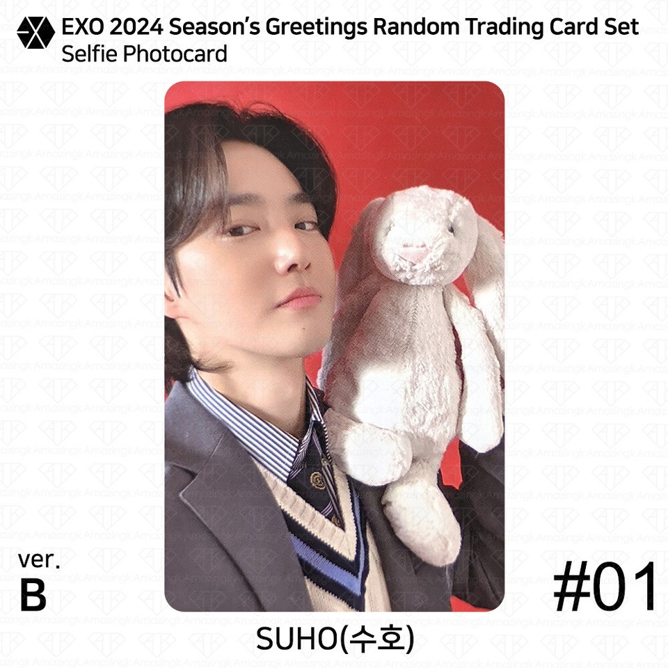 EXO 2024 Season's Greetings Random Trading Card Set Concept Selfie ...