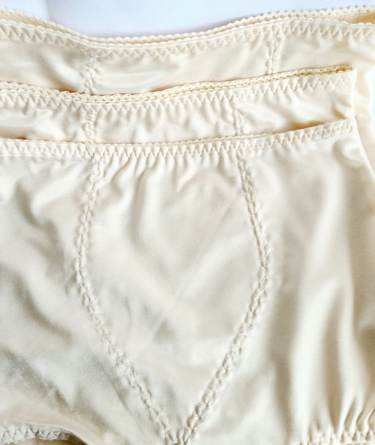 Hanes 0700 Shaper Brief 3-pair Women's Light Control Shapewear Tummy ...