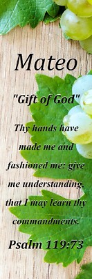 Mateo "Gift of God" Keepsake Name Meaning Bookmark with Bible Verse and ...