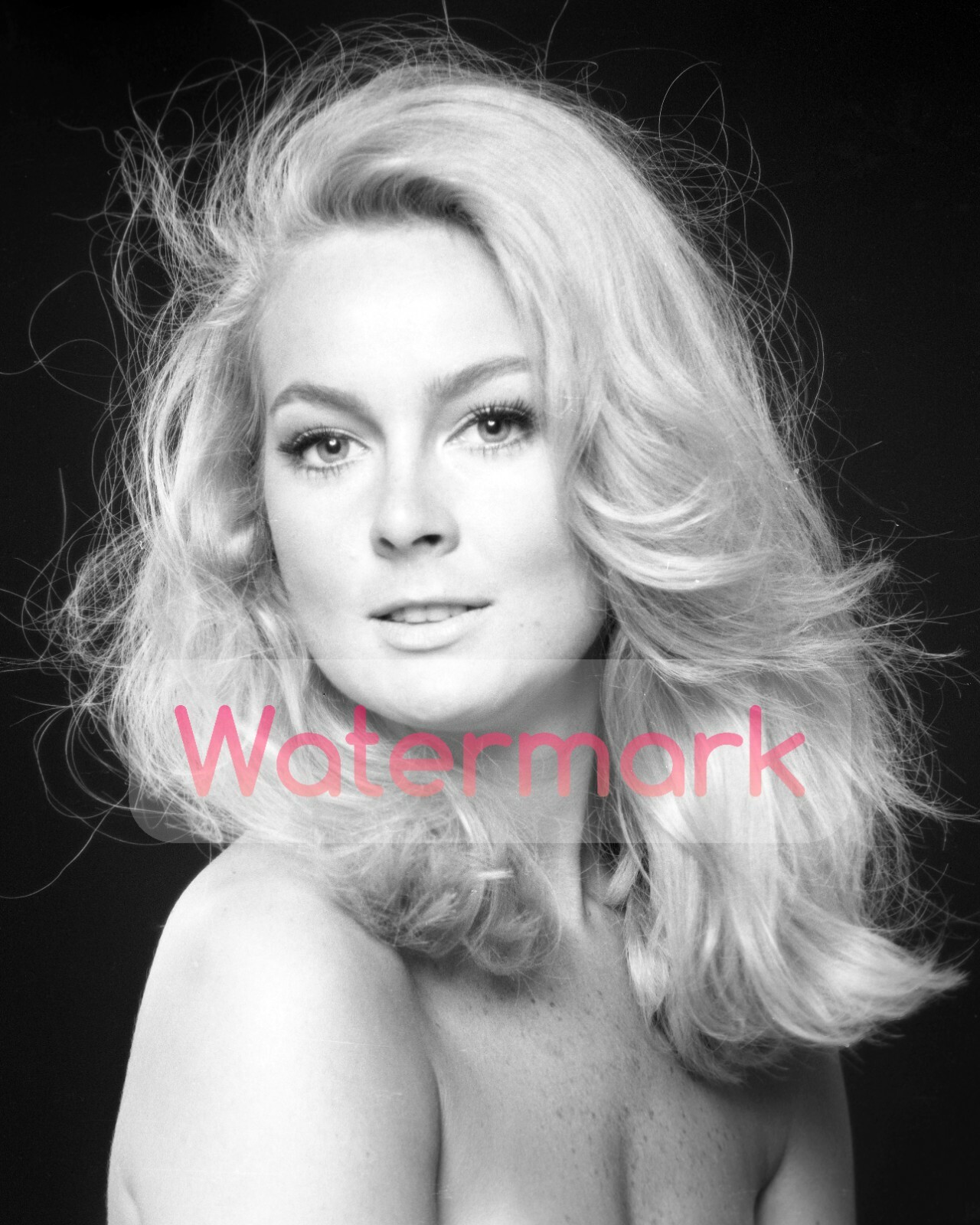 VENITA WOLF Monkees Actress Cleavage ** HI-RES FINE ART ARCHIVAL PHOTO ...