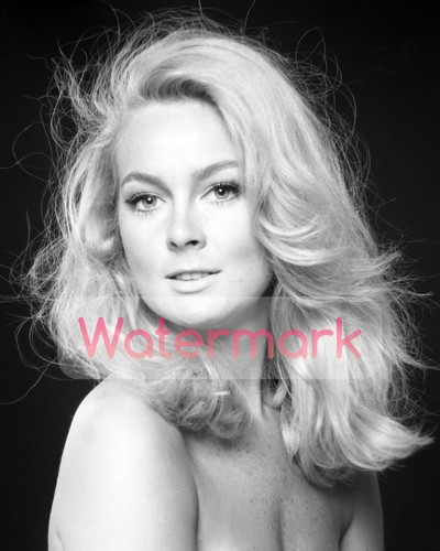 VENITA WOLF Monkees Actress Cleavage ** HI-RES FINE ART ARCHIVAL PHOTO ...