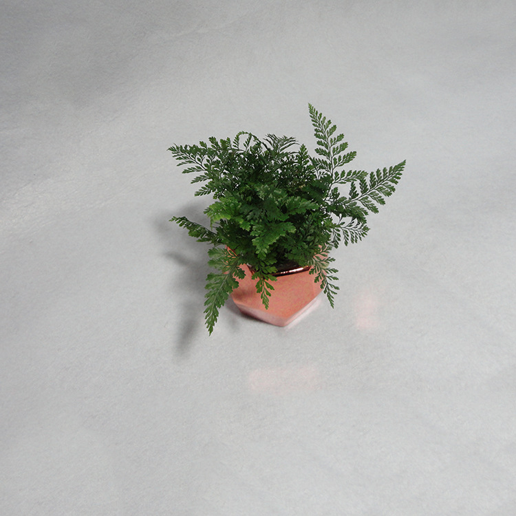 Rose Gold Glazed Planter Pot Plating Ceramic Plant Flower Gloss Garden ...