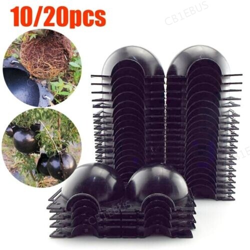 10/20pcs Plant Rooting Ball Fruit Tree Root Box Plastic Case ...