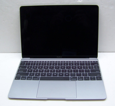 OEM Apple MacBook Pro 12 A1534 2017 LCD Screen Display Assembly, Space ...