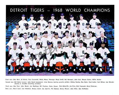 MLB 1968 Detroit Tigers World Series Champs Team Pic with Names 8 X 10 ...