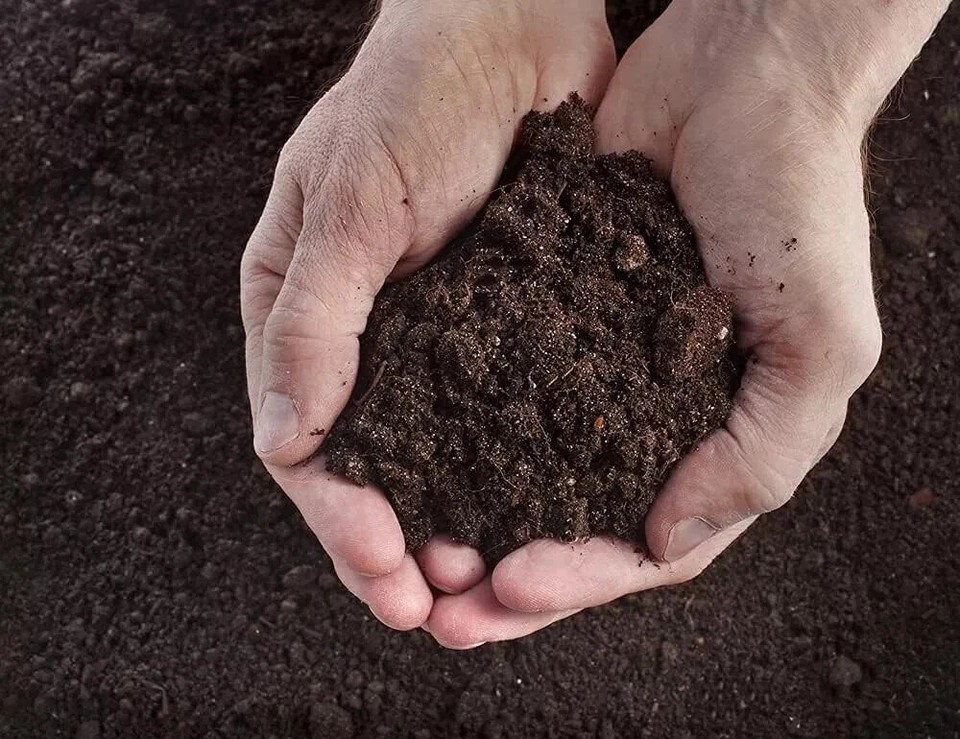 GROWMOOR MULTI PURPOSE SOIL COMPOST FLOWER FERTILISER FOR GARDEN ...