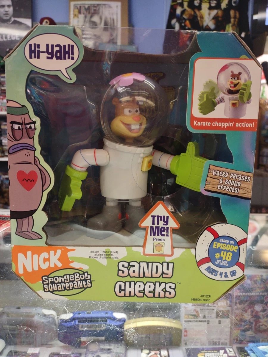 Sandy Cheeks Karate Sandy Cheeks Karate