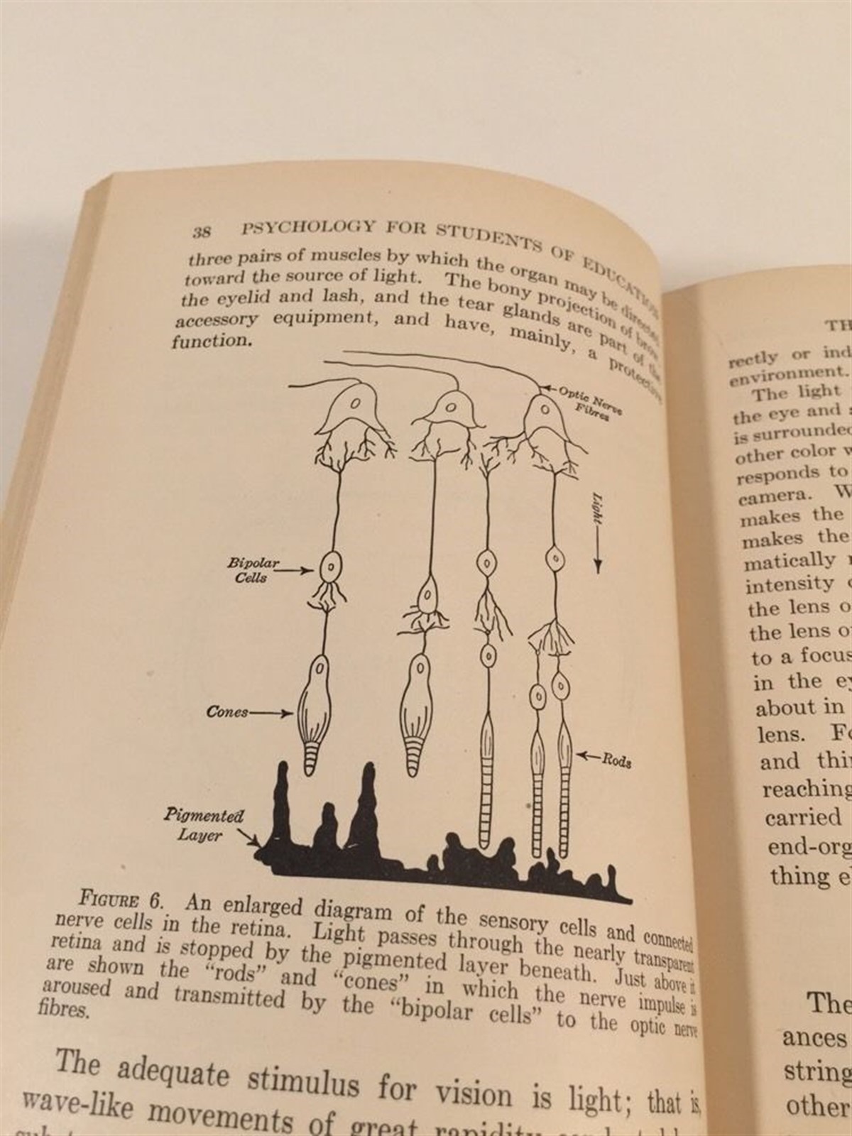 Psychology For Students Of Education - Arthur Gates - 1923 HC | eBay